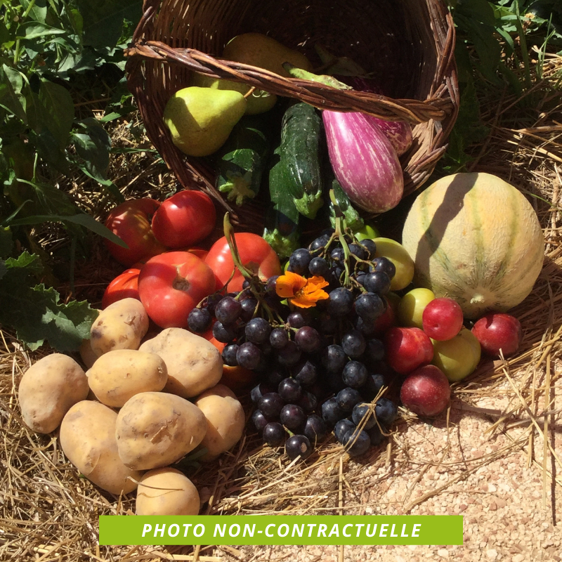 Panier Fruits et Légumes Bio 6,5 kg | Les Paniers d'Ethan